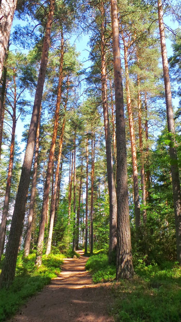 Kirkkoniemi - Tarvaala
